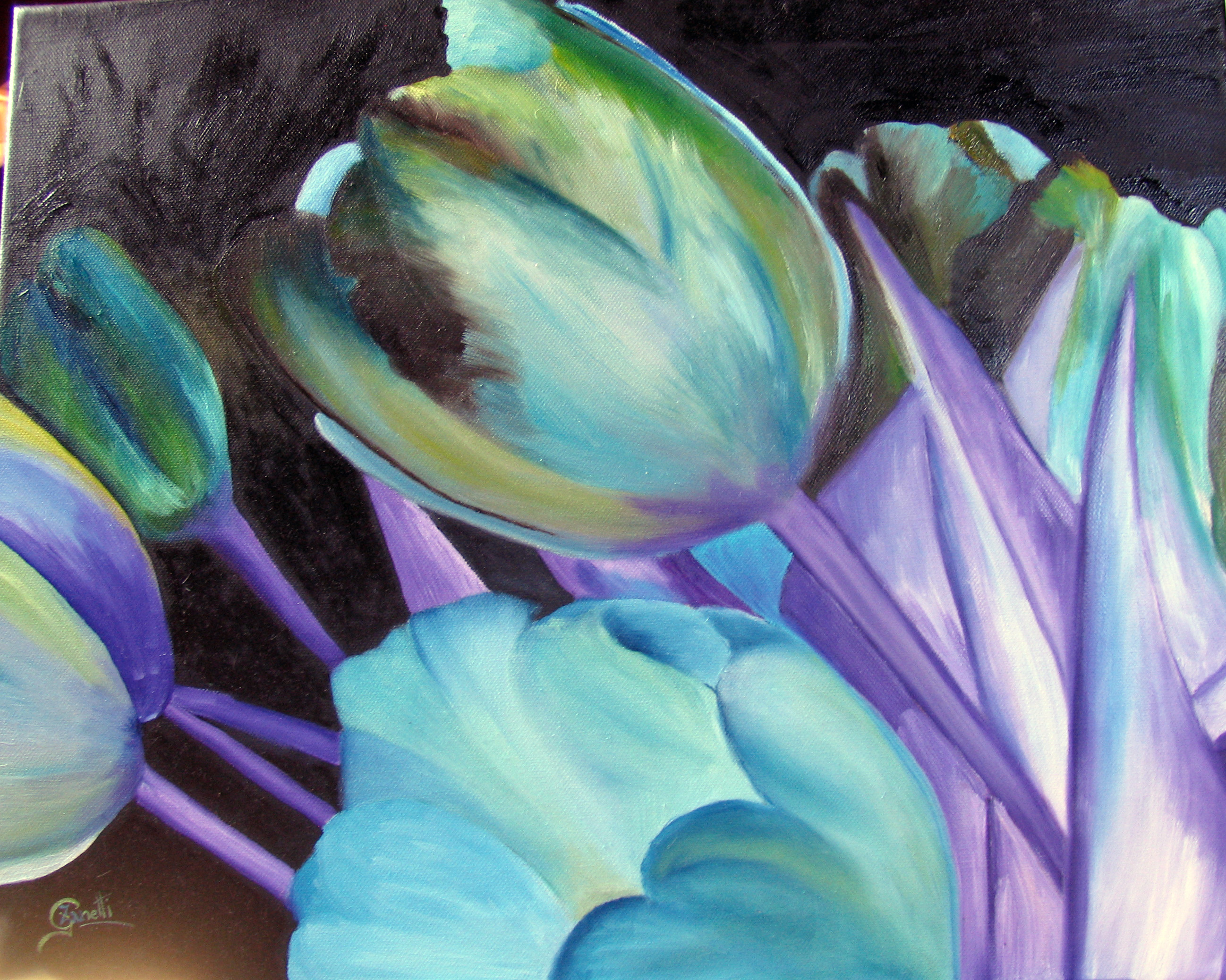 Tulipani blu | graziazanetti.com